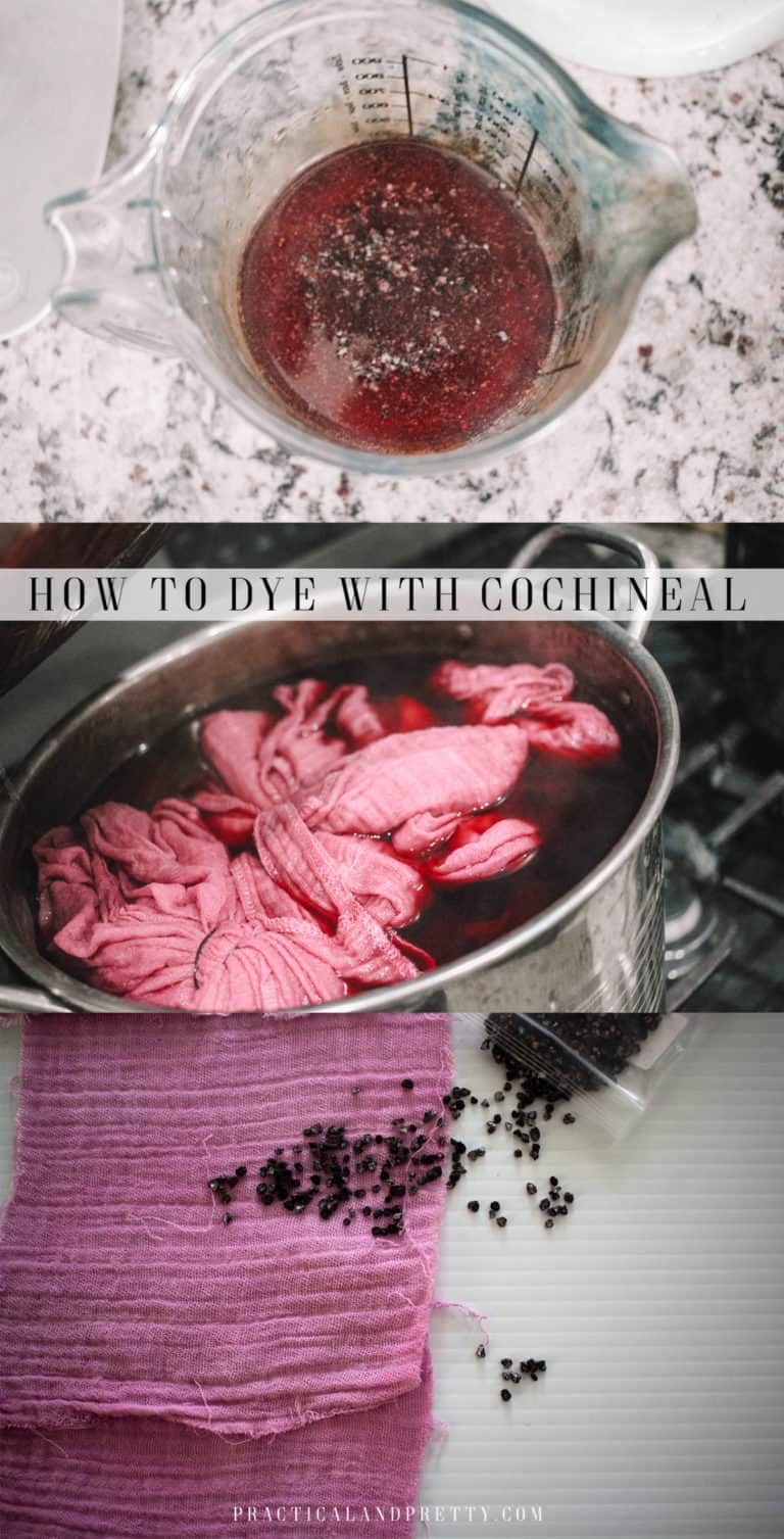 Cochineal Dye Video Tutorial - PRACTICAL & PRETTY