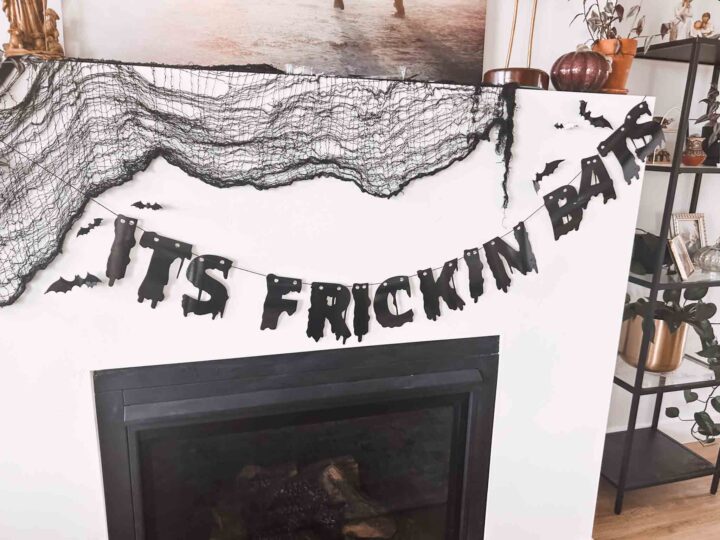 It's Frickin Bats - PRACTICAL & PRETTY